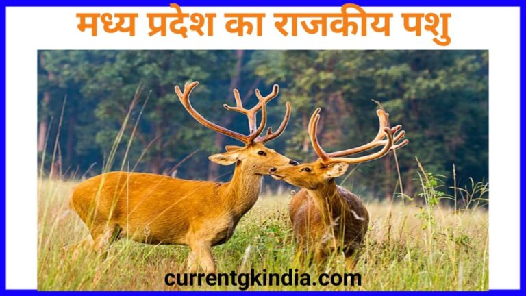 15+ मध्यप्रदेश के राजकीय प्रतीक चिन्ह 2025 || Madhya Pradesh Rajkiya ...